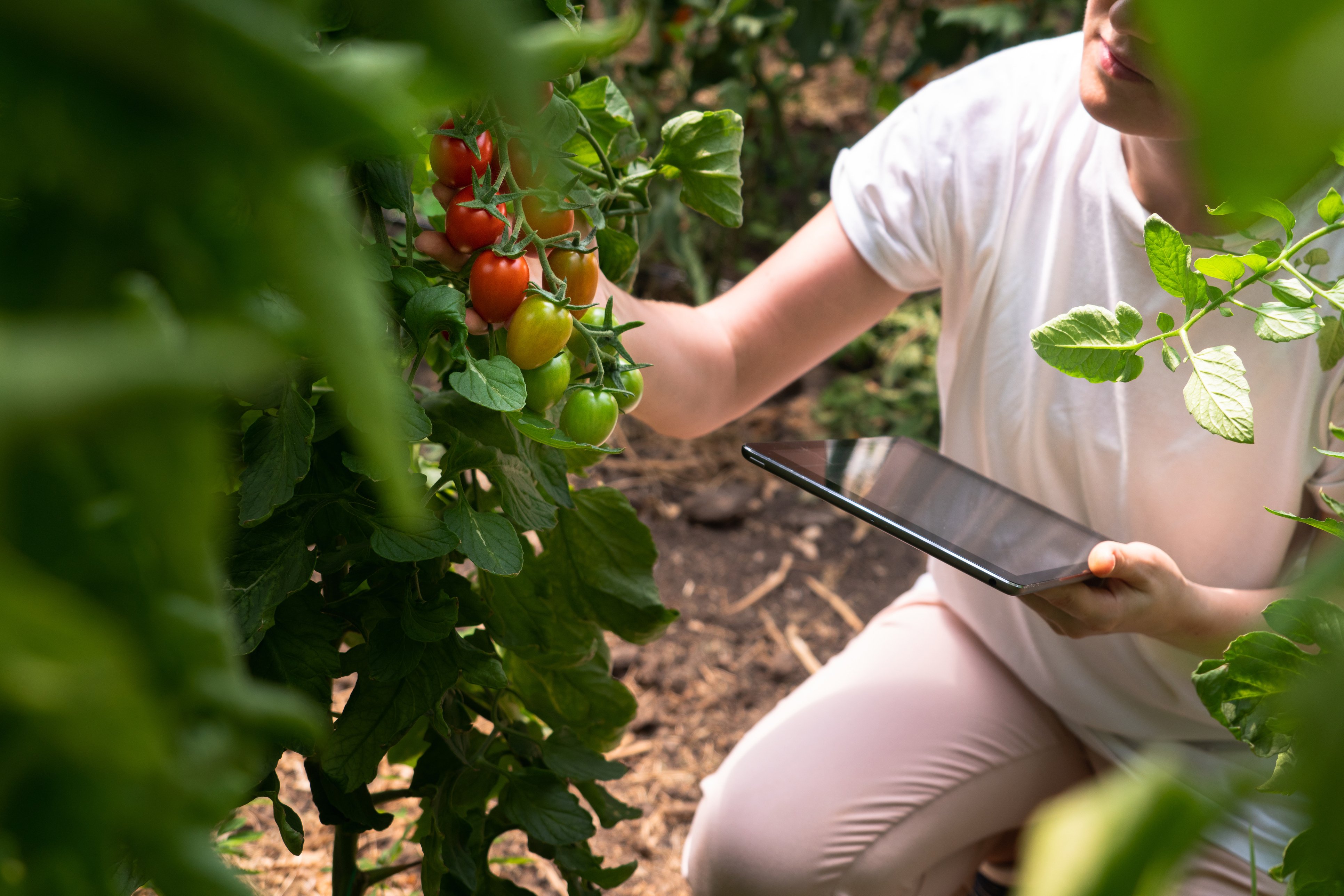 From Binders to One Platform: How Mucci Unified HSE, FSQA & Training