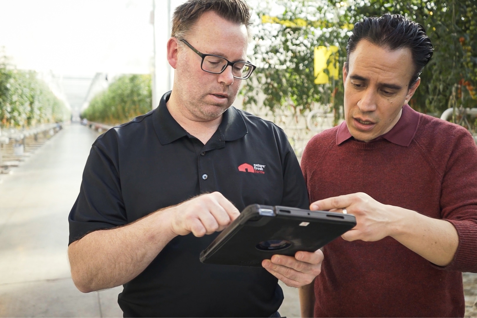 The Evolution of Food Safety in Indoor Ag - Provision Analytics